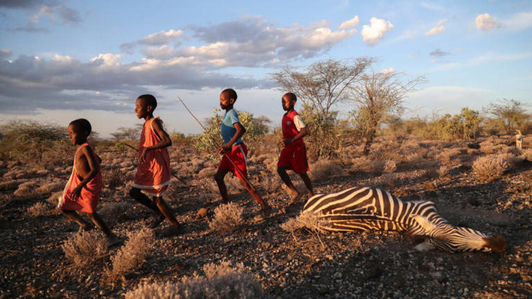 Kenya is a leader in geothermal power. Now it’s helping its neighbors ...
