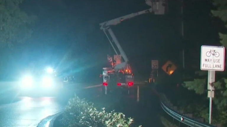 Overnight rains knock out power, down trees across metro Atlanta