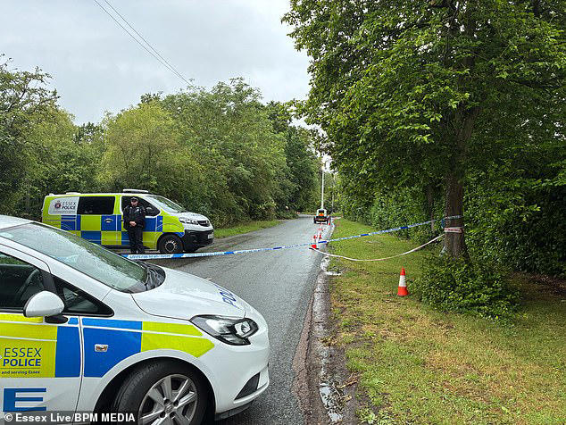 Murder probe as boy, 12, is killed after he was hit by vehicle in Essex ...