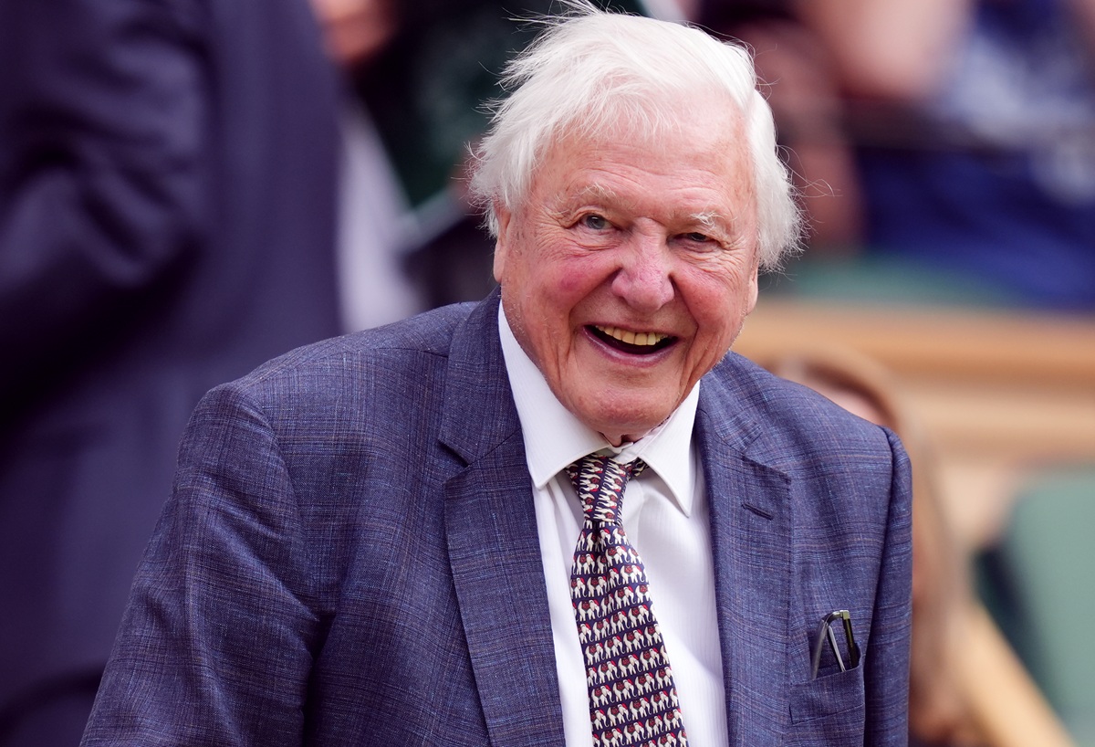 David Attenborough statue: Calls for monument to honour ‘true national ...
