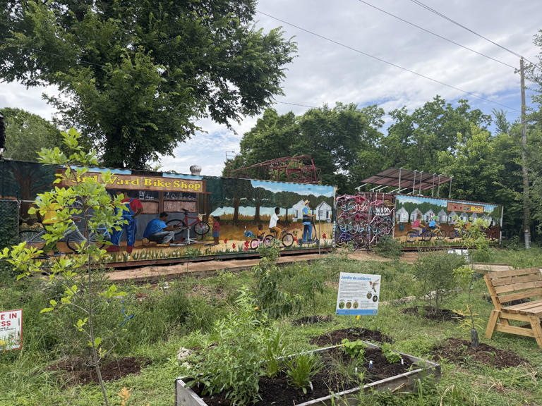 Houston World Cup green corridor: Trees, trails and sustainability projects