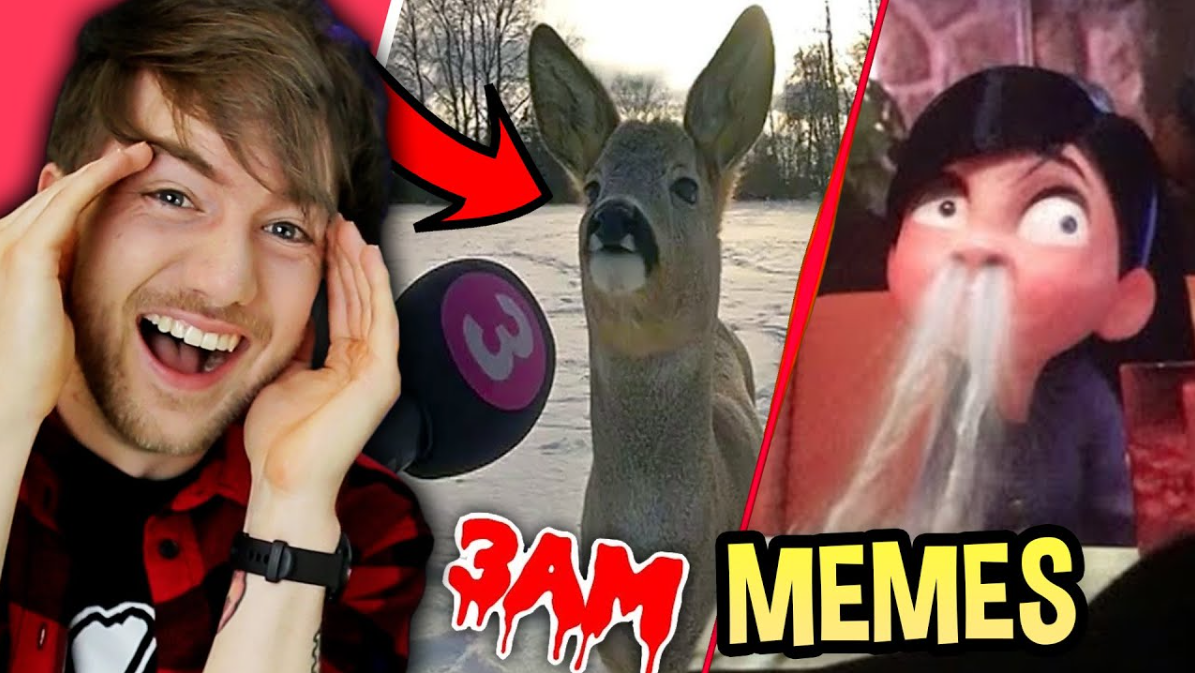 The funniest memes you see at 3AM