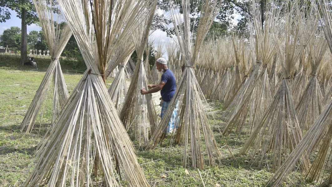 Jute rugs that make your home feel grounded