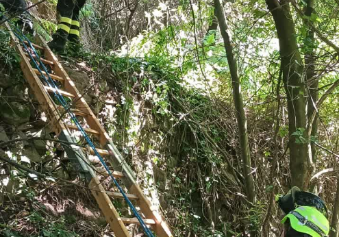 Cadavere trovato nei boschi a nord di Roma: sul posto gli speleologi ...