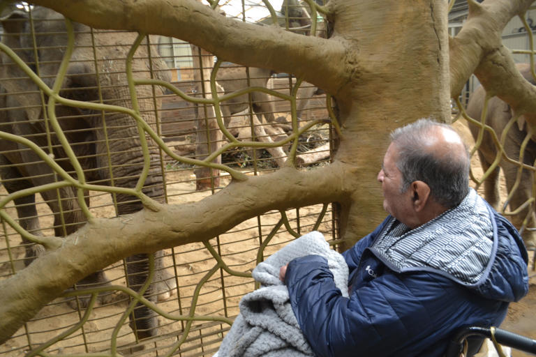 Hemel care team takes Dinkar, 89, back to Kenyan childhood with VIP ...