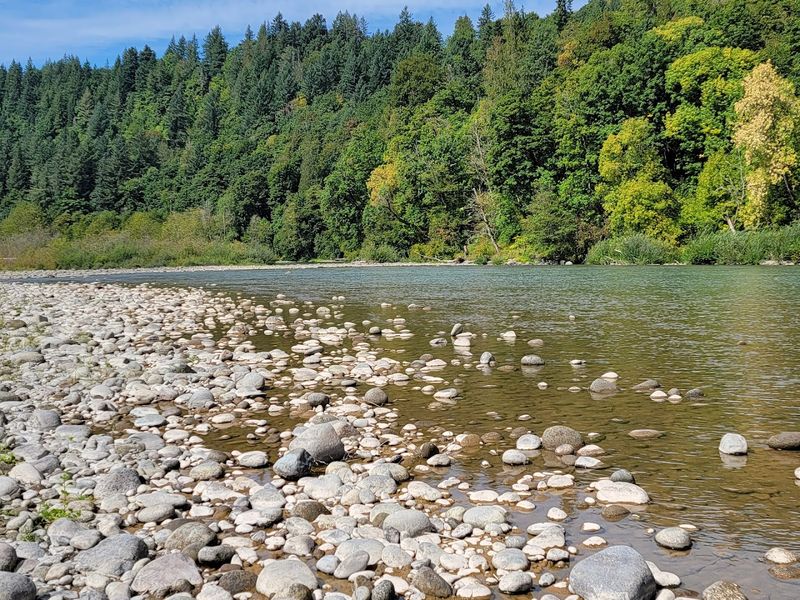 9 lazy river and tubing spots in Oregon that will make you feel like ...