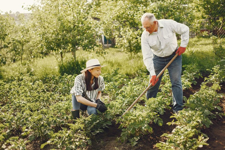 The yard work and house chores our generation did every day that kept ...
