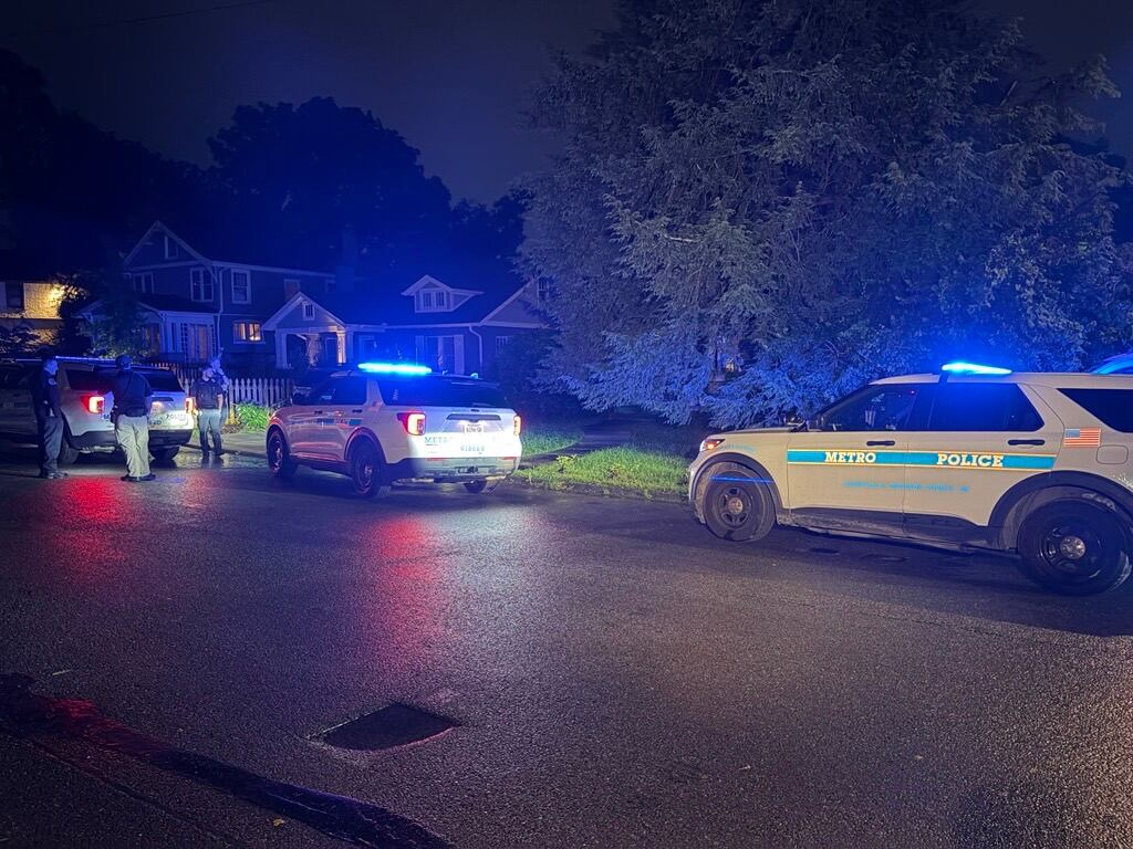 5 dogs killed after attacking woman inside East Nashville home
