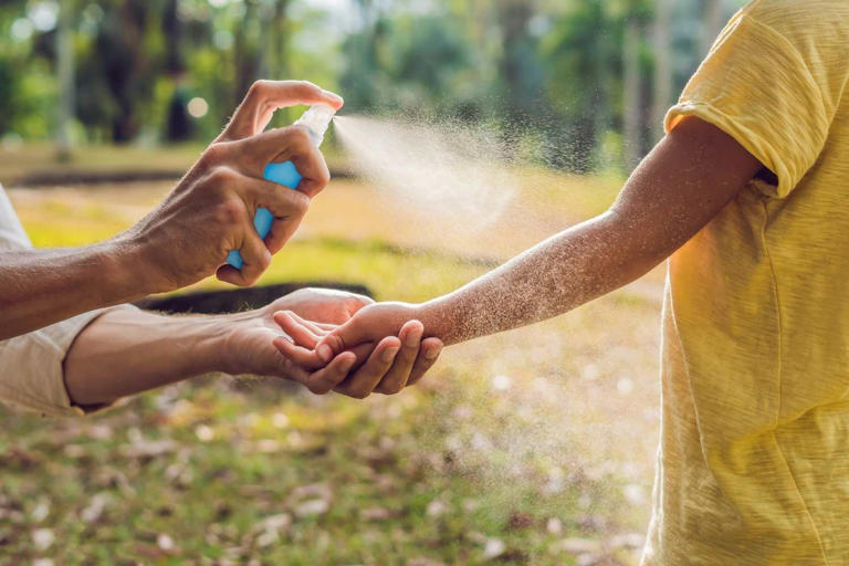 Repellenti antizanzare: non sono tutti uguali, alcuni proteggono solo ...