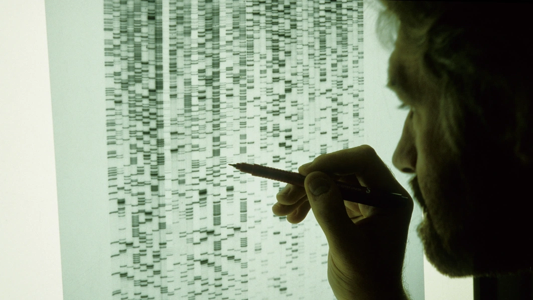 Ancient DNA research reveals millennia of human adaptation