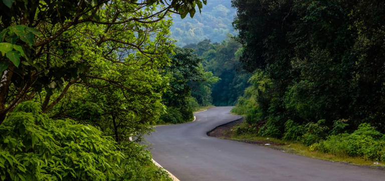 Tamhini Ghat waterfalls is proof that nature comes alive best in the ...