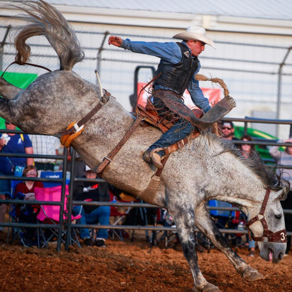 California beyond the clichés: All the coolest cultural experiences you ...