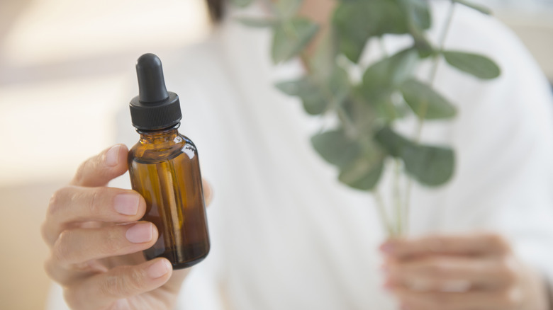 Smell-good scents that'll keep your home fresh and deter pesky mice