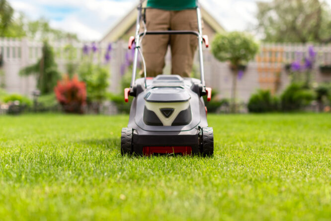 UK lawn mowing rules most homeowners don’t realise exist