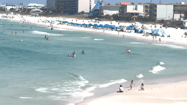 Navy base employee in critical condition after shark attack in Florida ...