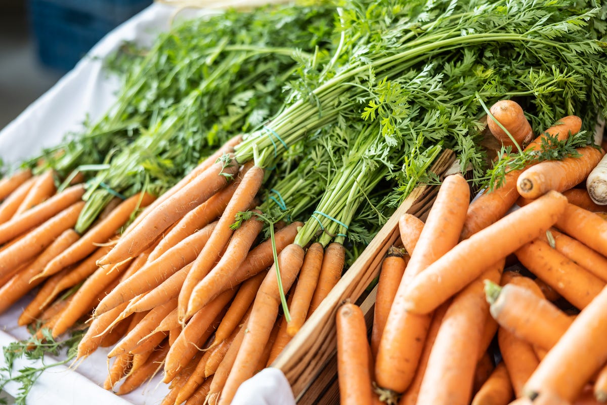 The best fruits and vegetables to plant in June, according to experts