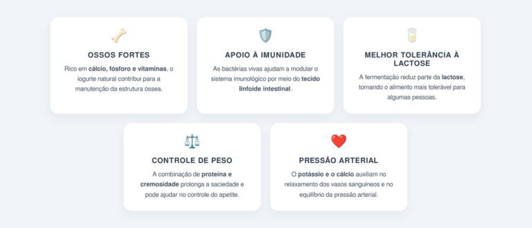 O iogurte natural é uma boa fonte de proteína e ajuda o intestino