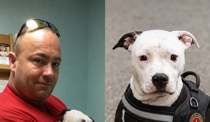 Cucciolo salvato da un incendio diventa il cane simbolo dei vigili del ...