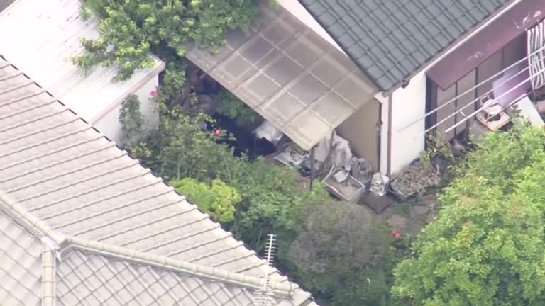 Japan bear captured after multi-day hunt closes schools