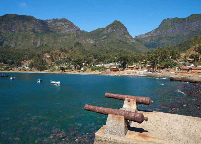 A missão de salvar a árvore mais rara do planeta
