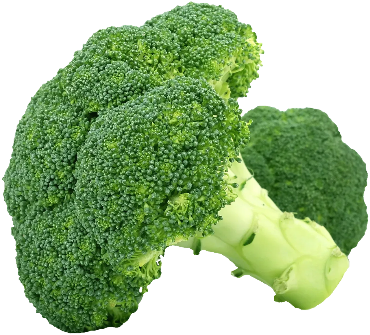 11 vegetables most people overcook