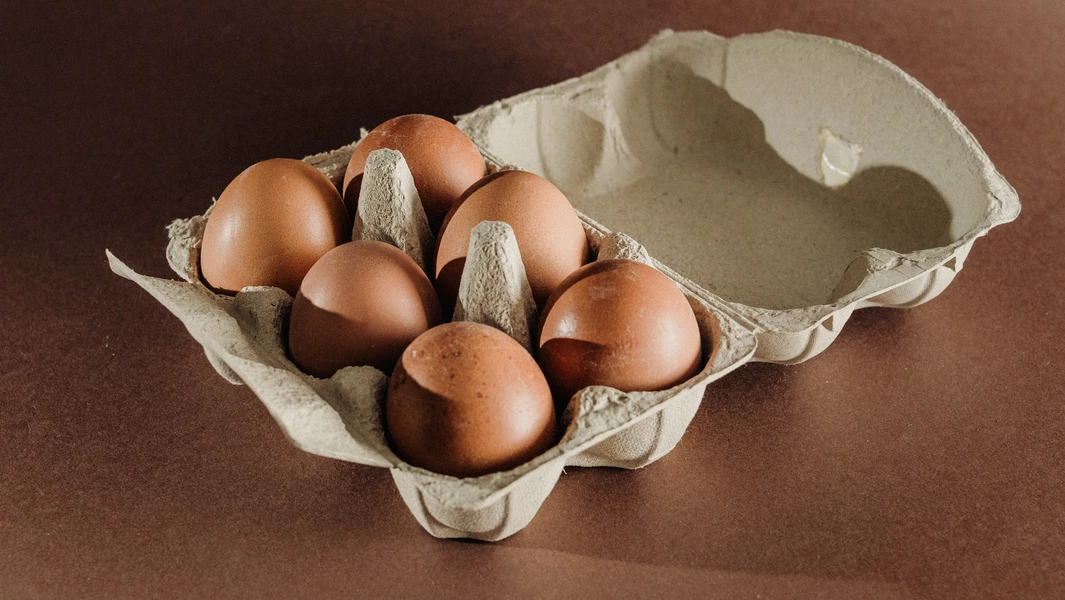 Protein-heavy, grazing-style meals reshape kids’ nutrition in 2026