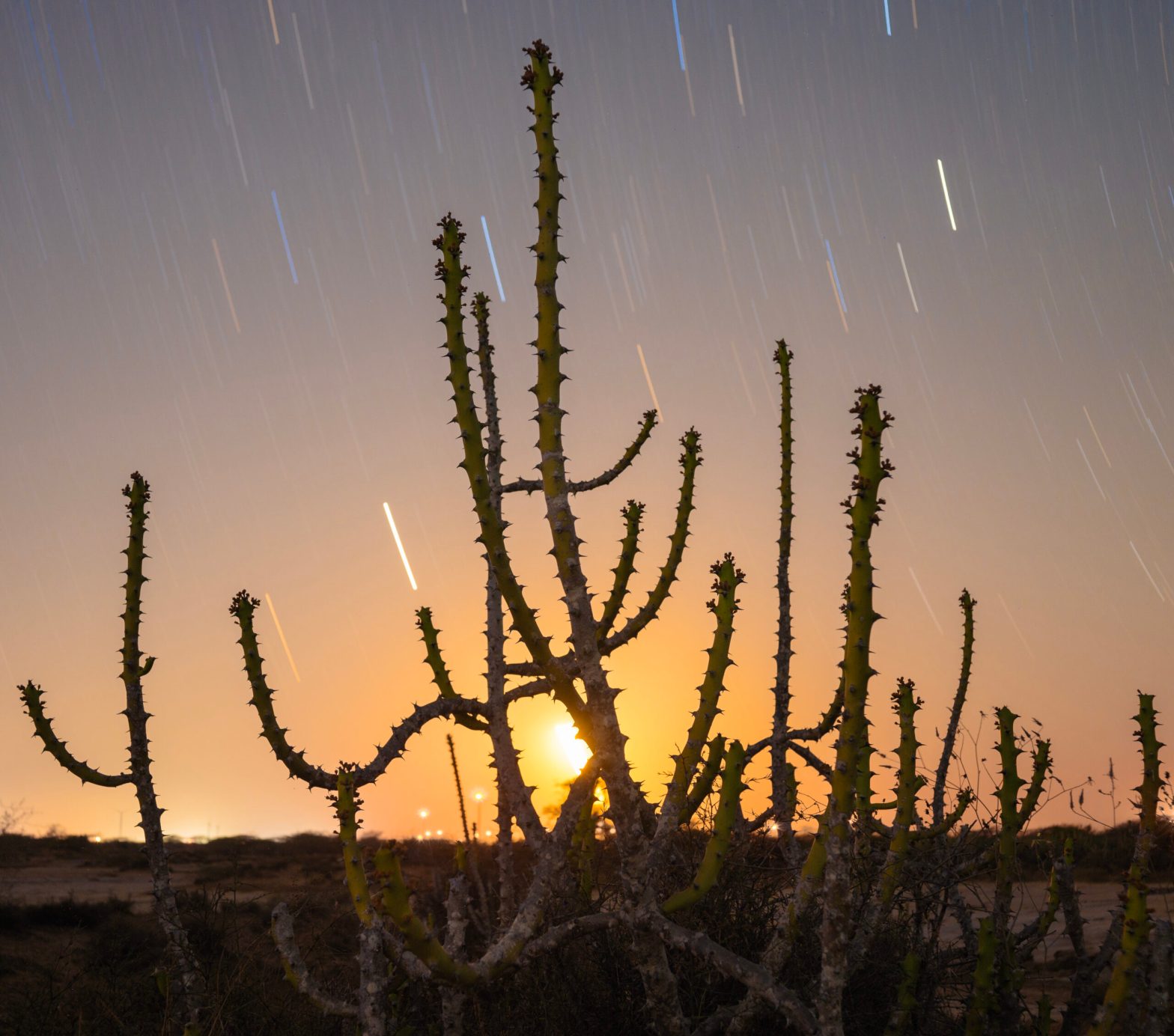 Kickstart summer with these new astronomy products