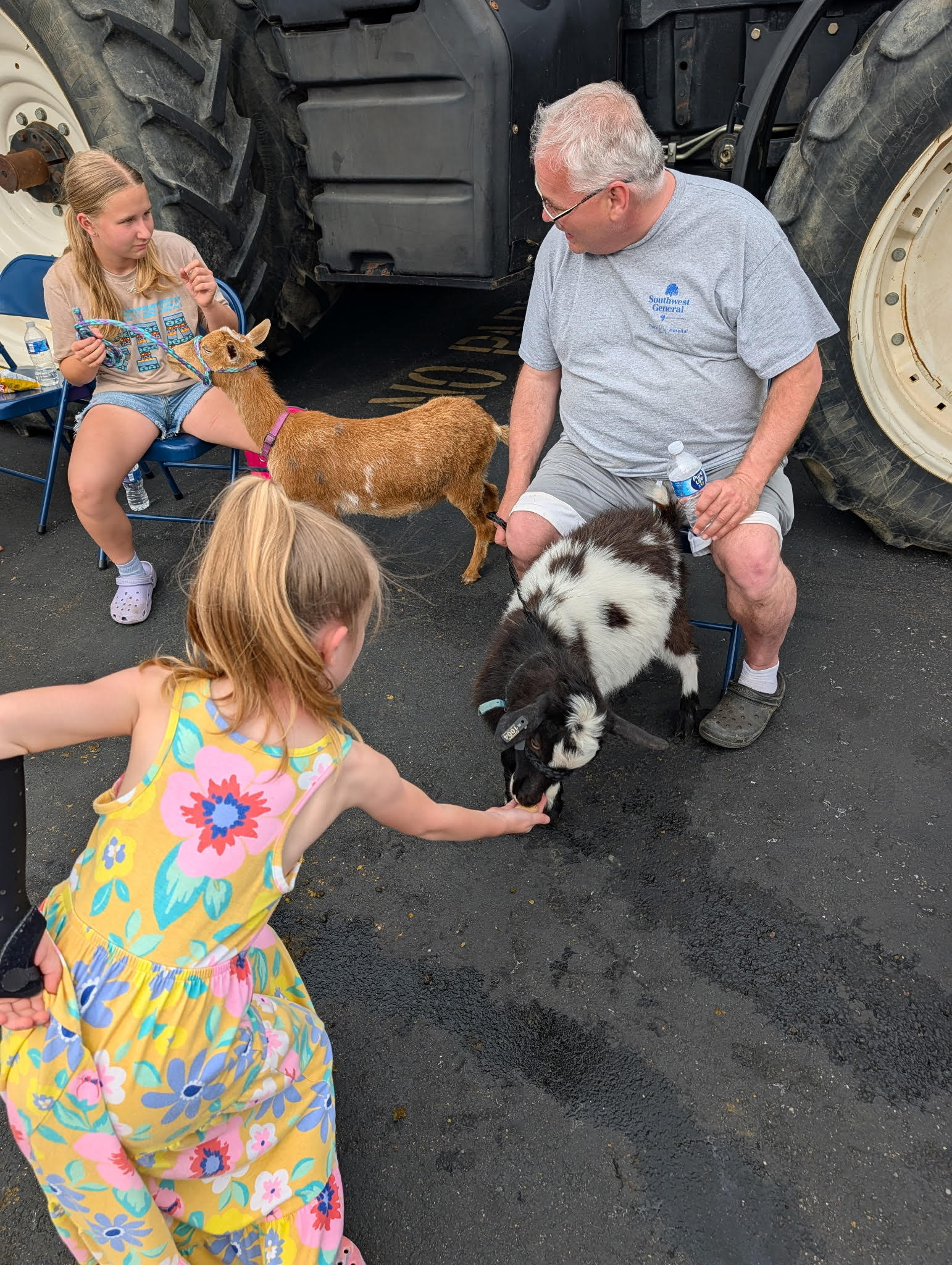 Northwestern Wayne FFA hosts petting zoo for students