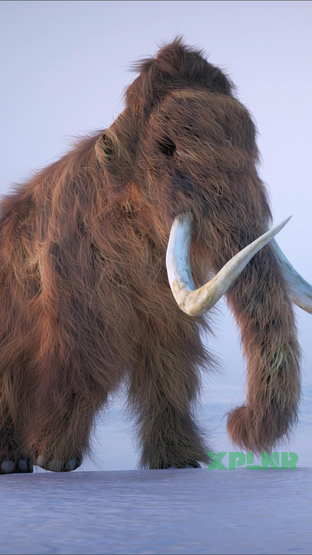 Can science bring back animals from extinction?
