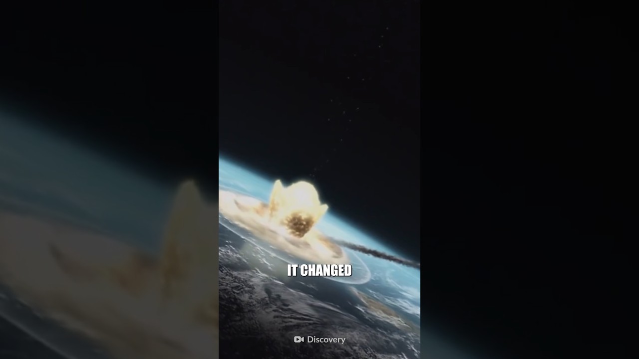 Discover what happened immediately after the dinosaurs went extinct