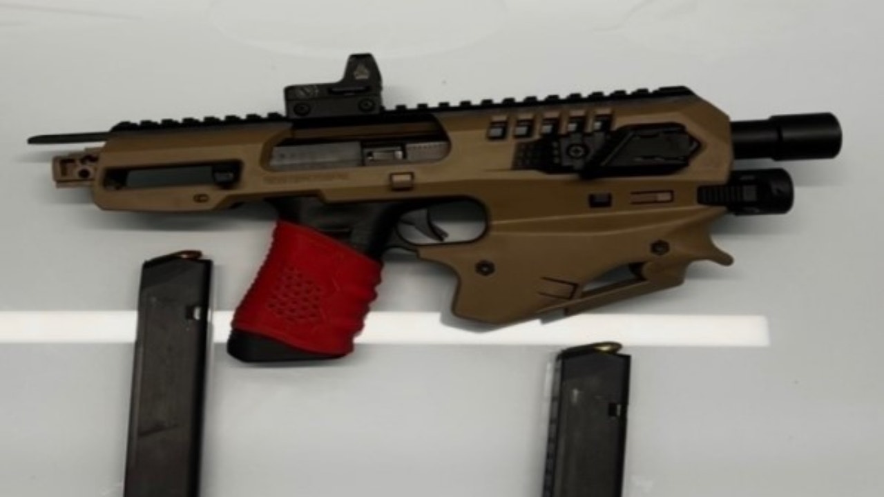 Northwest Indiana beach 'teen takeover': Police seize guns, make arrests