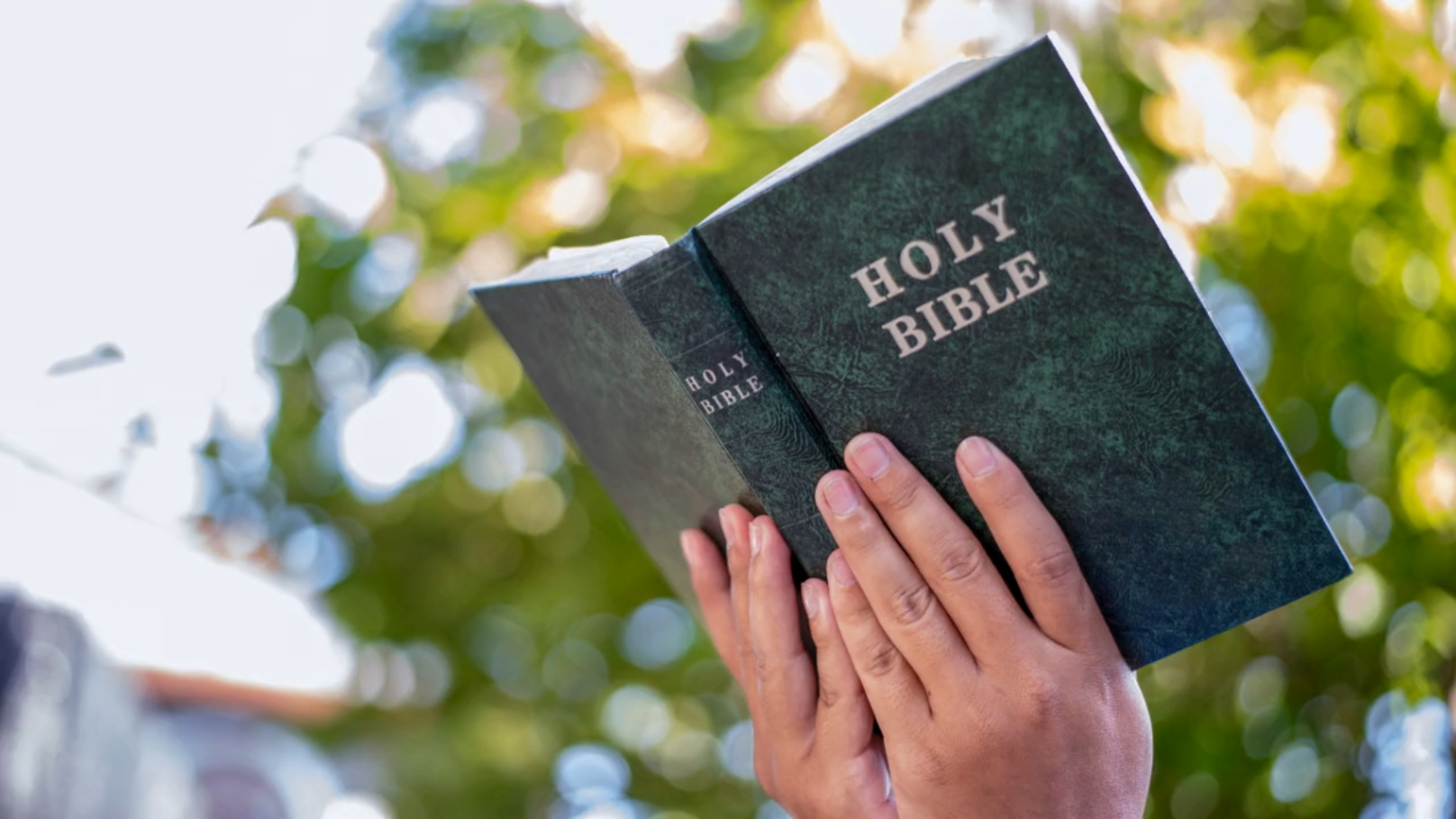 Why certain books were excluded from the Bible