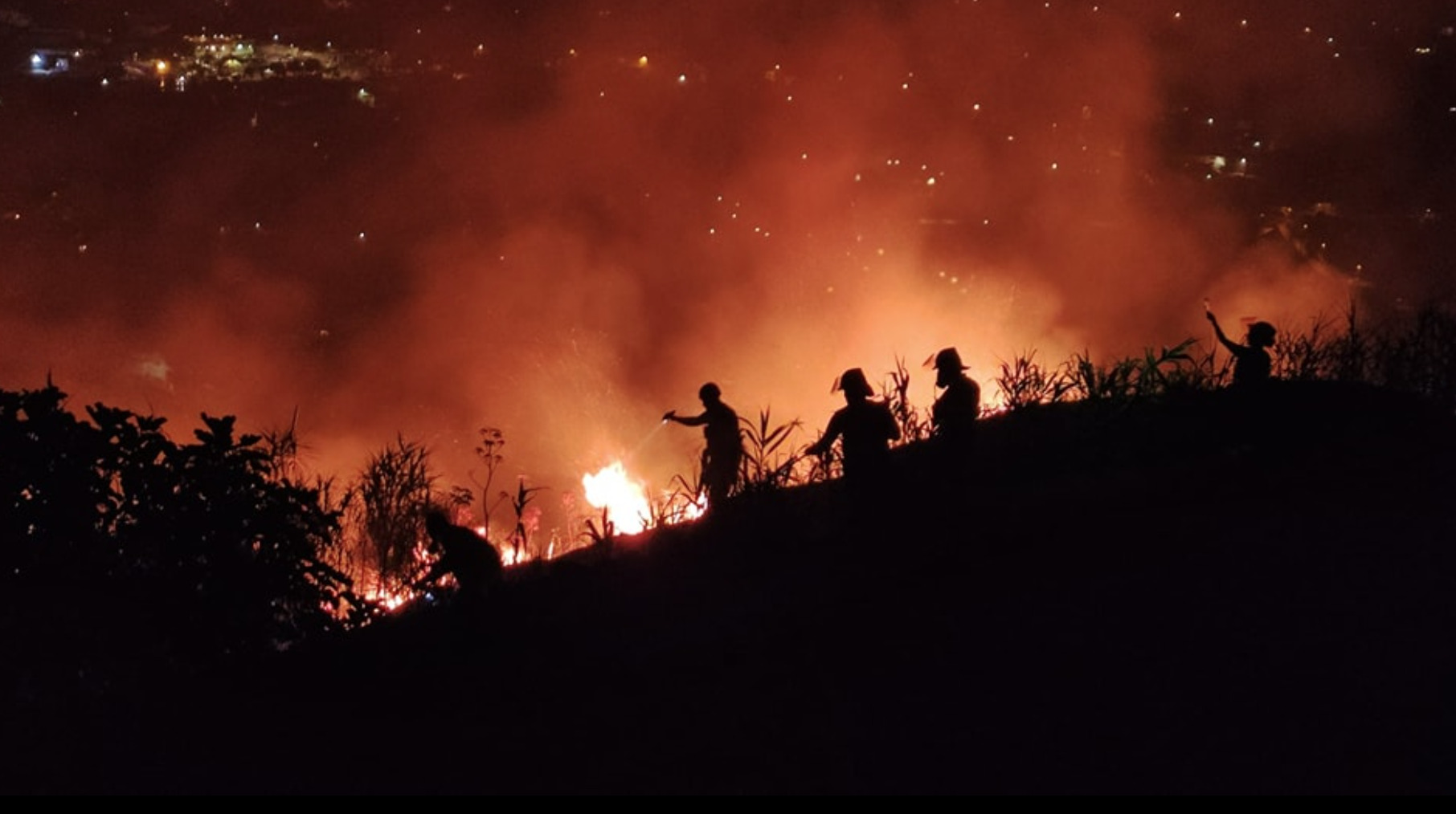 Incendi boschivi, scatta l’allerta per grave pericolosità in Campania ...