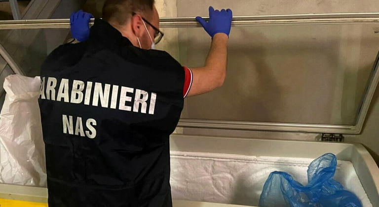 Sarno, blitz dei NAS al mercato ortofrutticolo di via San Valentino ...