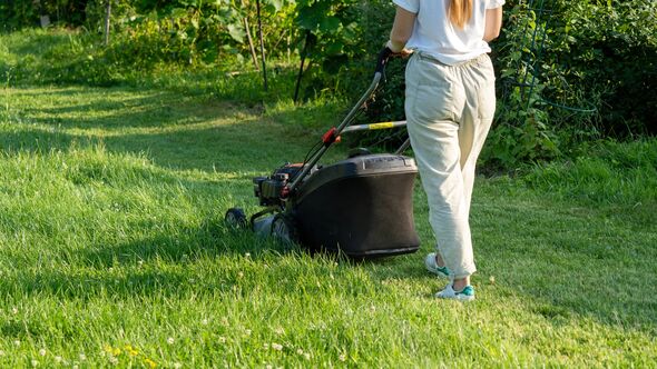 Essential precautions to take before mowing lawn after rain