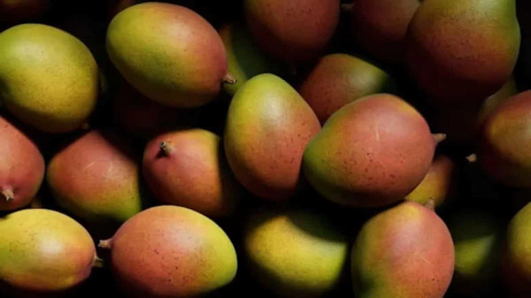 7 Indian mango varieties with stories as sweet as their taste