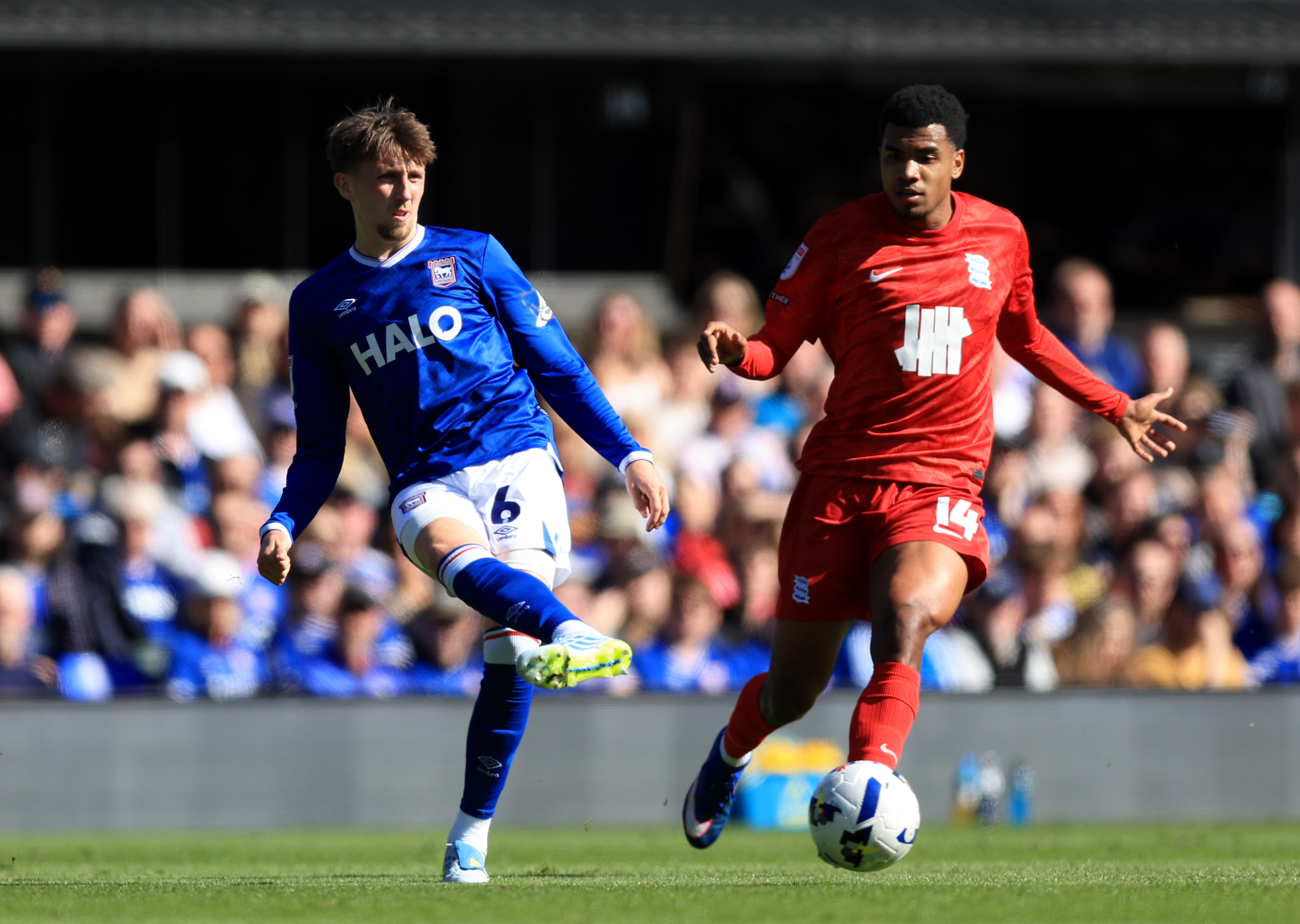 Hull City emerge as 'serious contenders' to sign outgoing Sunderland ...