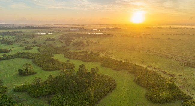 Florida locks down 6,200 acres of ranchland to block developers and ...