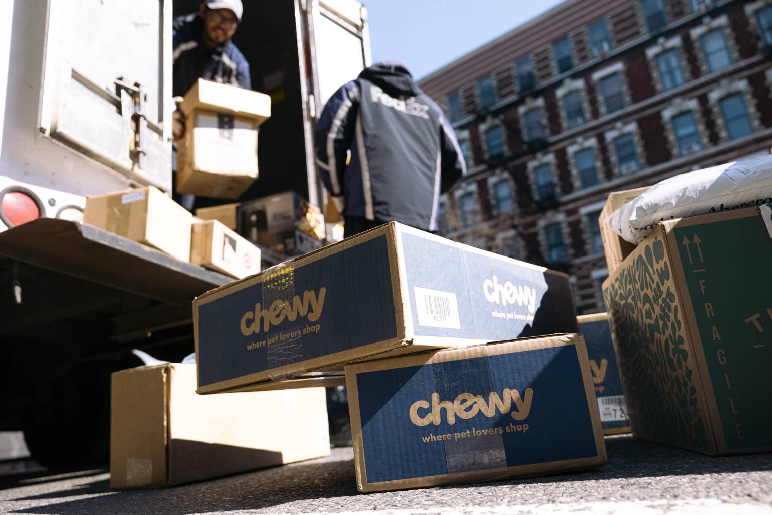 Chewy’s 3-level cat tower looks like designer furniture—and cats love it