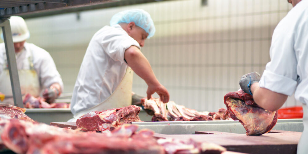 Which protein source is best for muscle health? Study compares animal ...