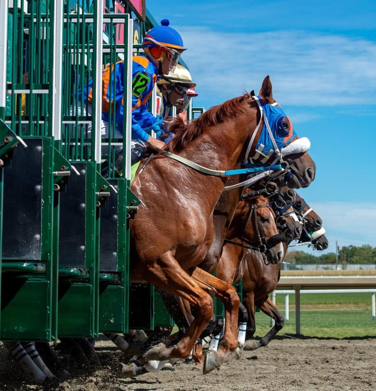 Parx trainer avoids active ban after HIWU testosterone ruling