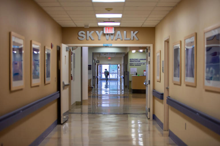 New UMC CEO to lead hospital through growth, voter-approved bond projects