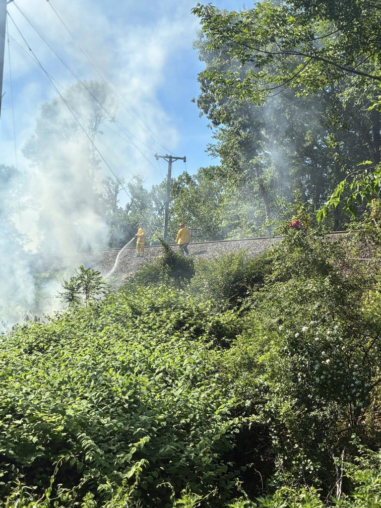 Palmer brush fire sparked by live wire