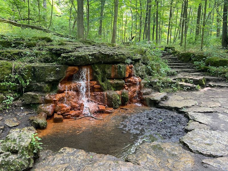 A thousand acres of Ohio forest and a dozen natural springs that never ...