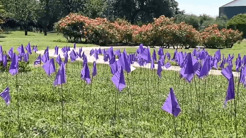 Purple flags shine a light on elder abuse awareness month in Shasta County
