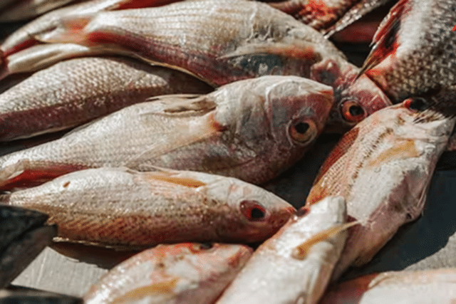 Best fish for children: These five fish are the best for children to ...