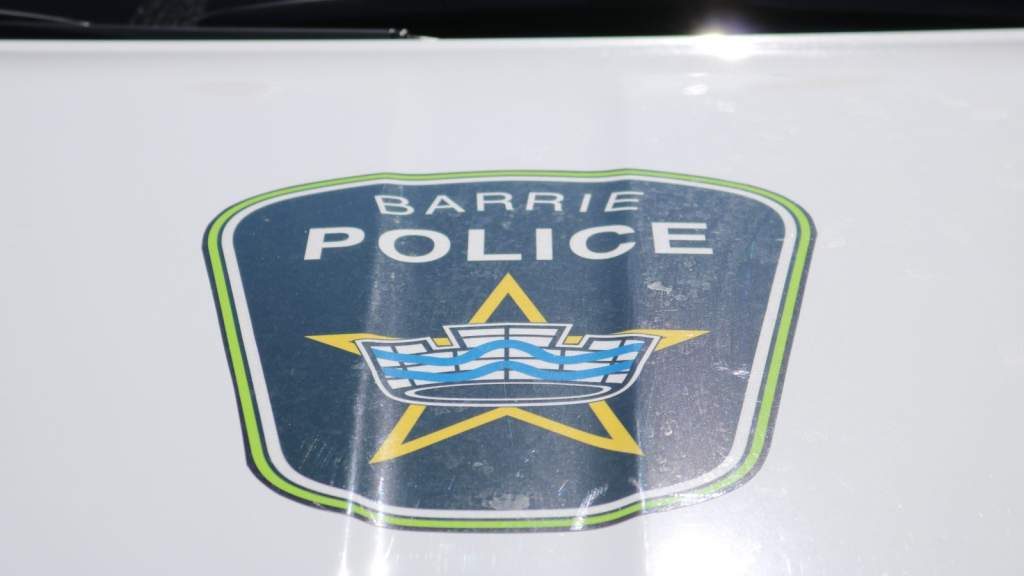 Search for 'aggressive' dog that attacked child in Barrie continues