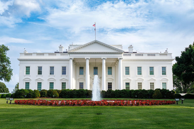 Trump says the White House UFC arena might never come down