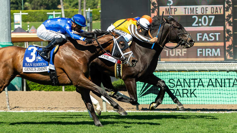 Sumter leads overflow field of turf sprinters in Daytona Stakes