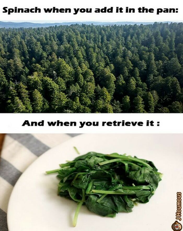 62 funny memes to send to your non-vegan friends